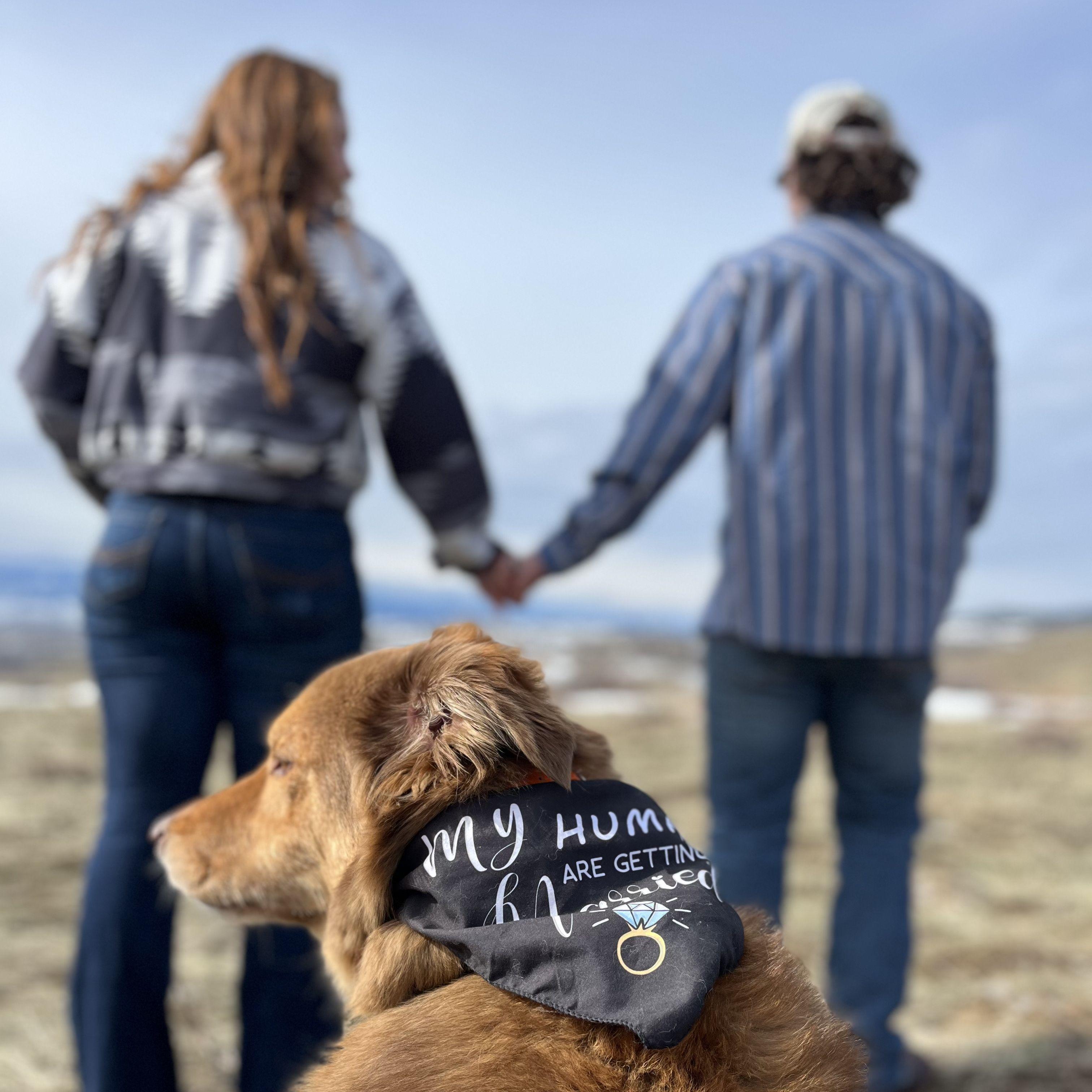 Mykan Malone and Marcus Morrill's Wedding Website