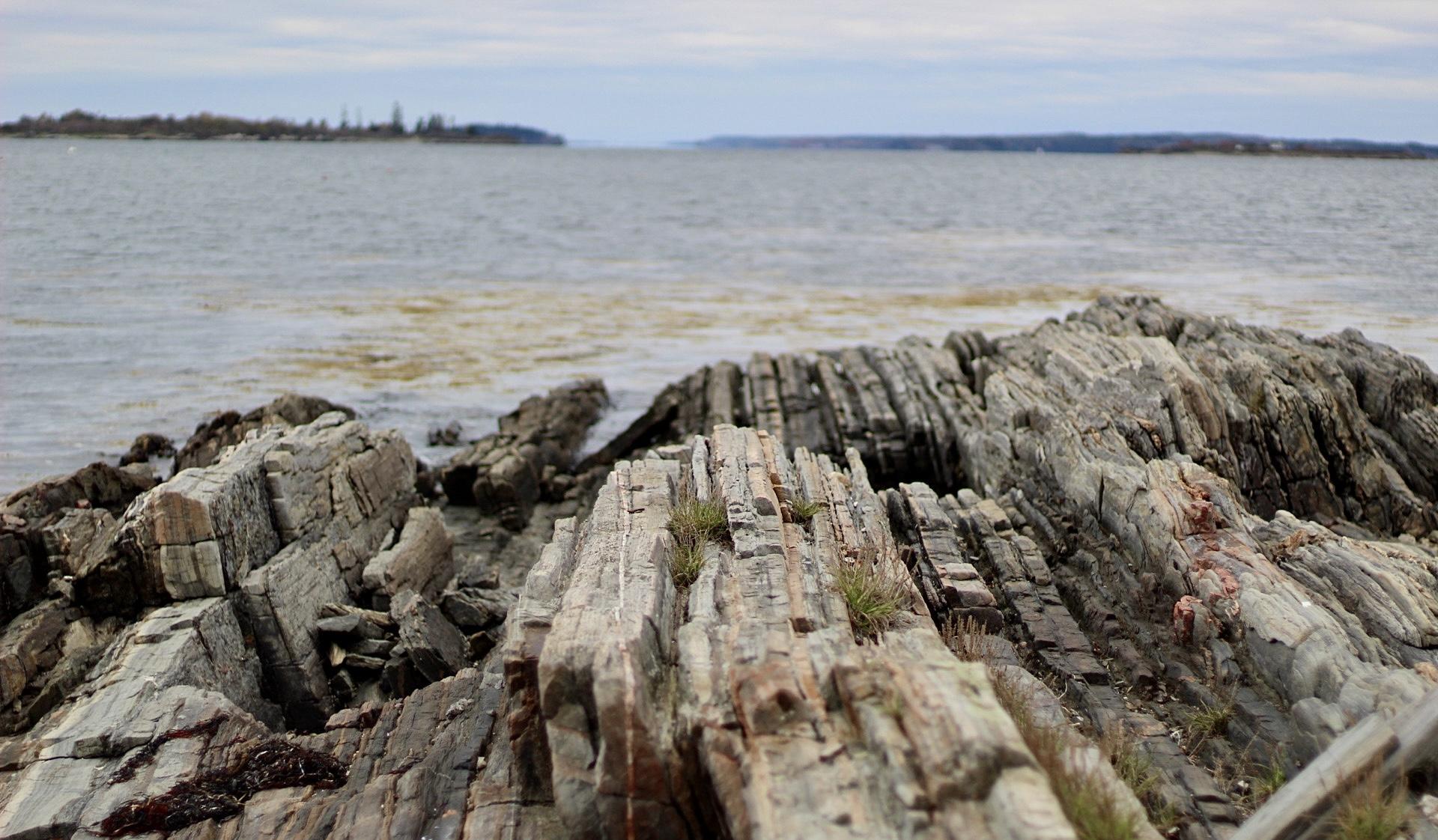 Mamie Walsh and Alex Wimsatt's Wedding Website