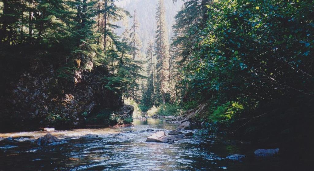 Alissa Huckle and Chelsea Carson's Wedding Website