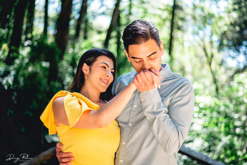 Elena Sánchez-Brenes and Abraham Valerio-Aguilar's Wedding Website