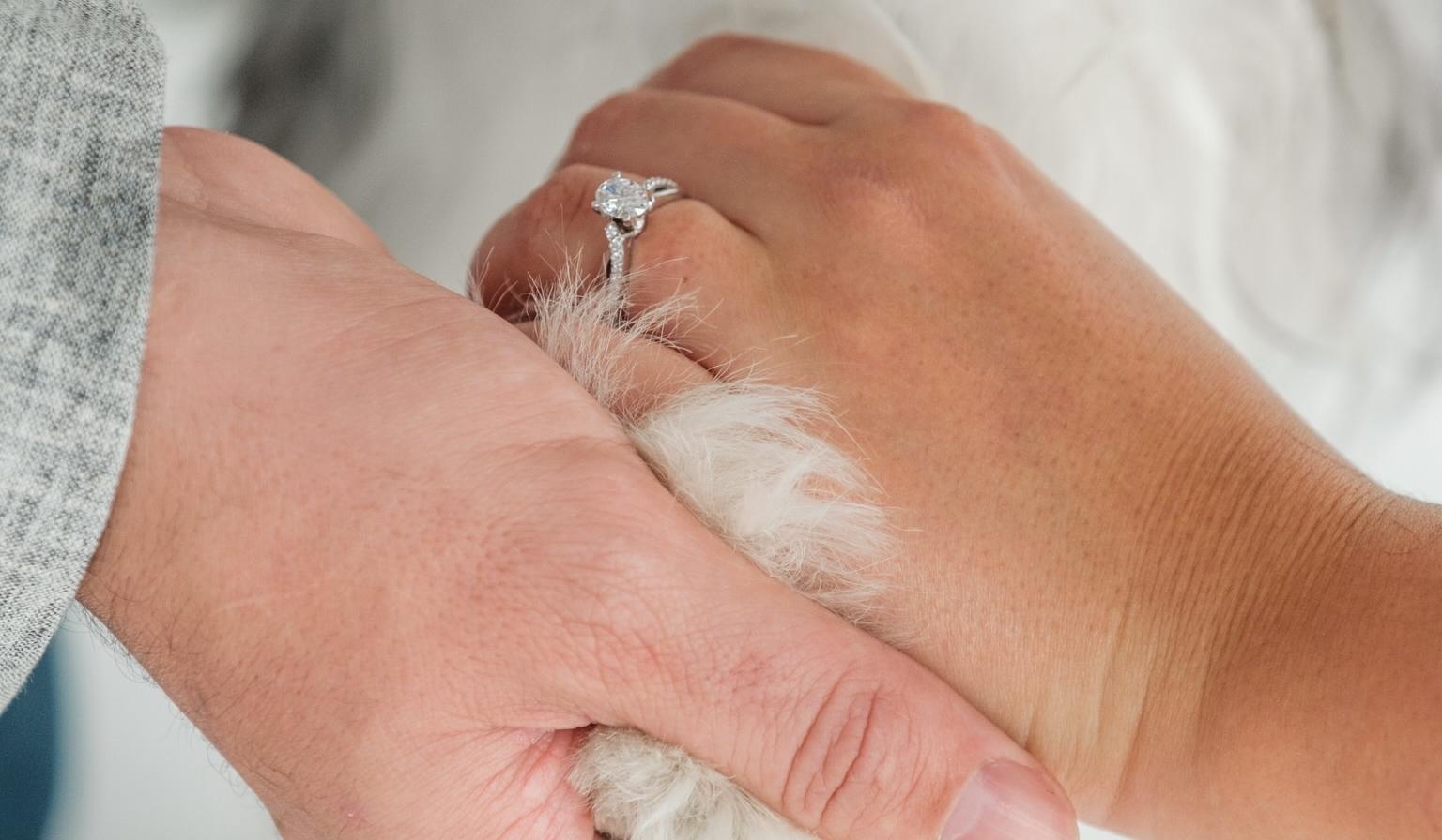 María Jesús García and Callum Lawrence's Wedding Website