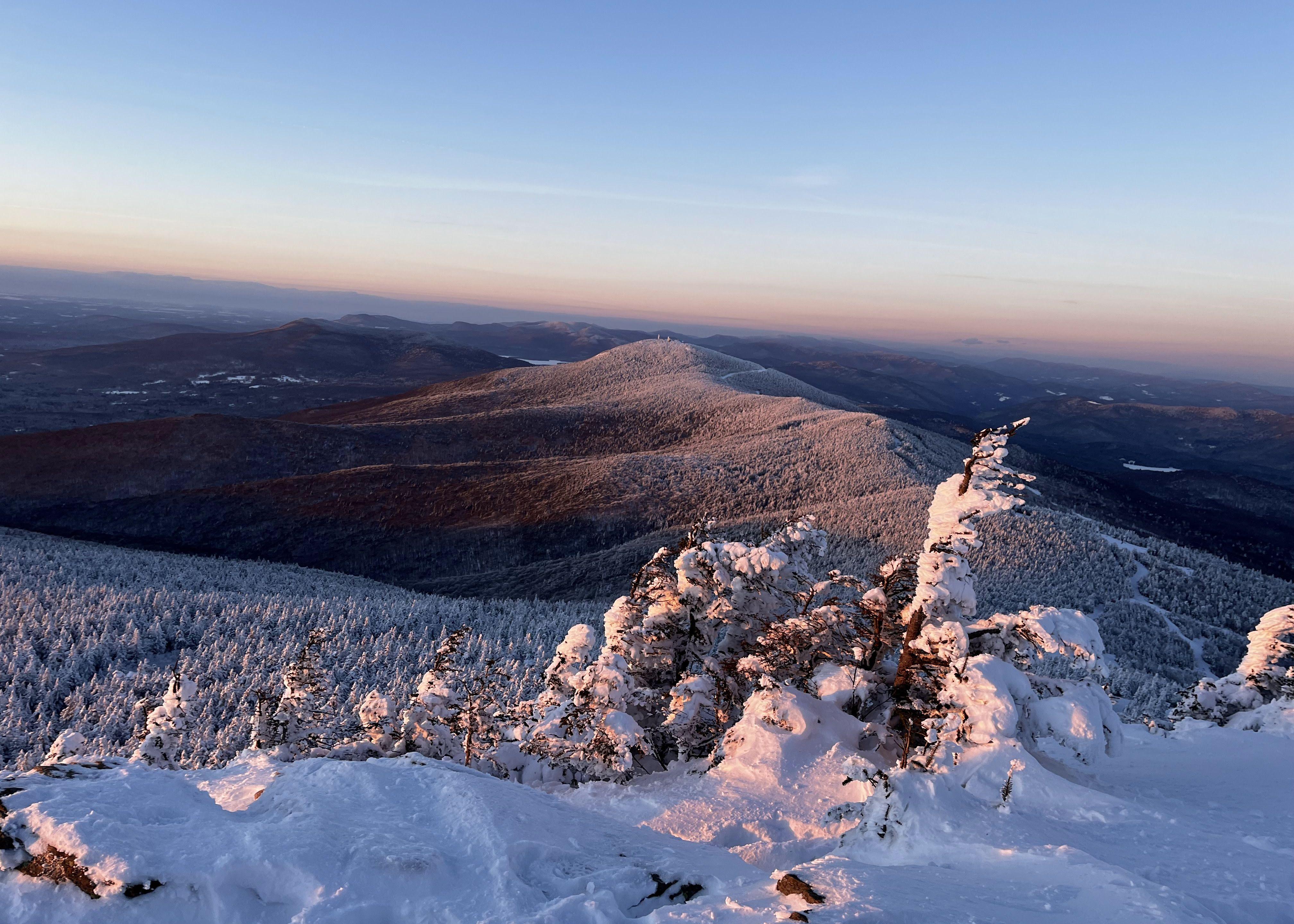 Marie Cupo and Aaron Weidenaar's Wedding Website