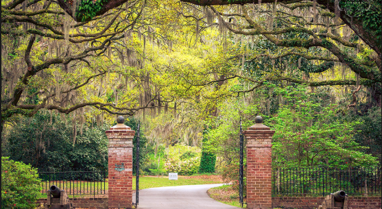 Julianne Nicola and Dan Acree's Wedding Website