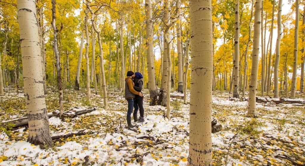 Ashlee Luna and Hunter Davis' Wedding Website