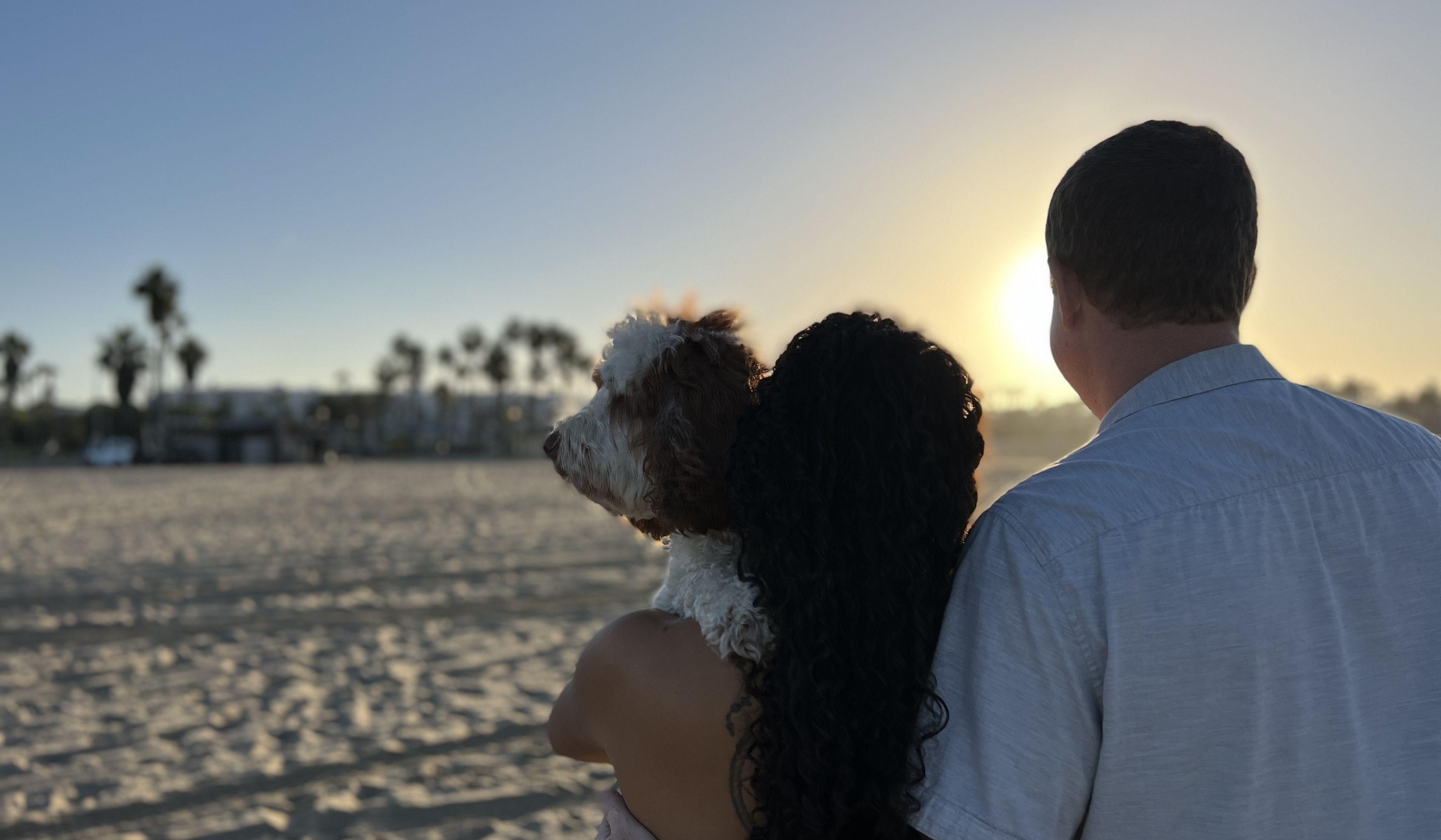 Daniela Jurado and Zach Doctor's Wedding Website