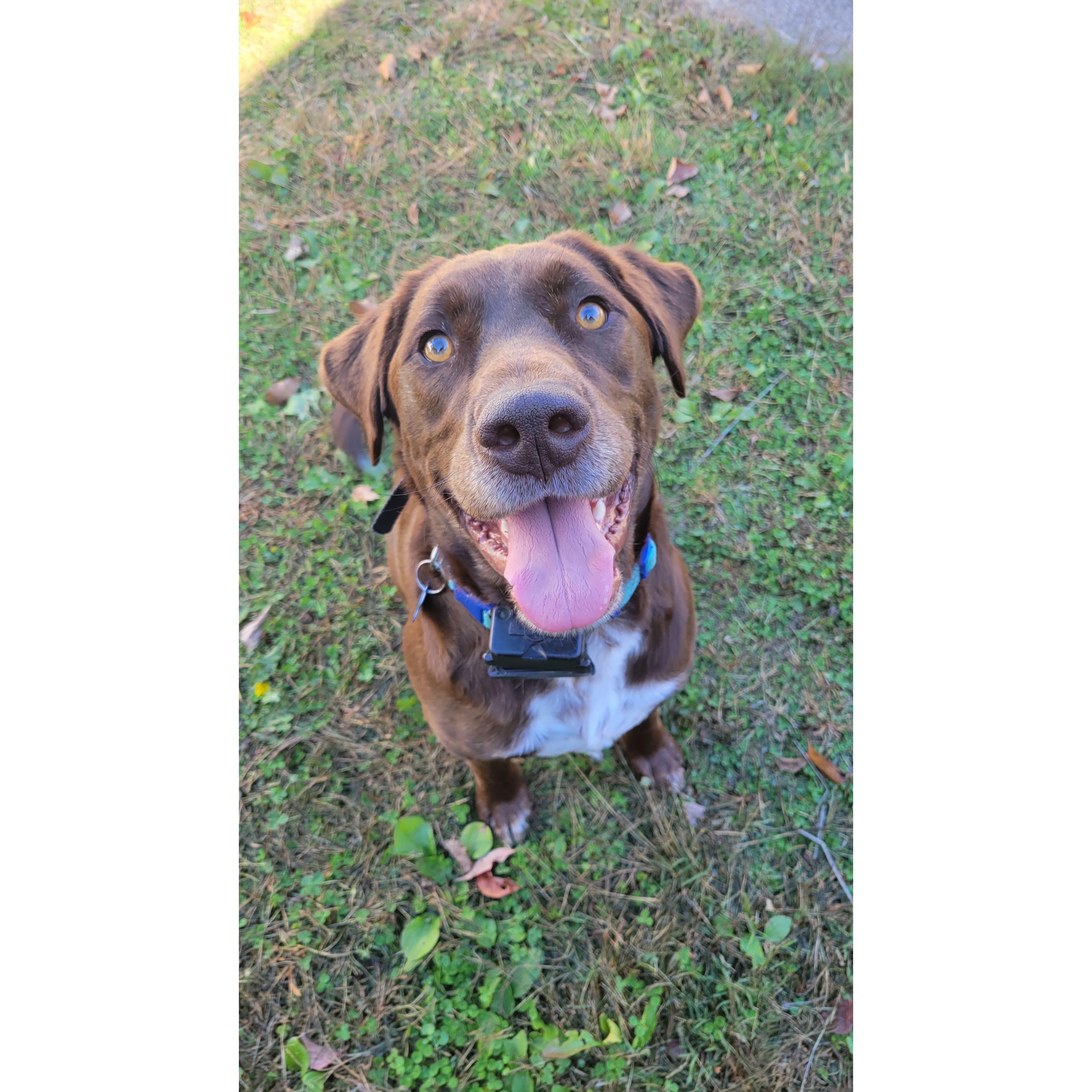 Sean Fitzpatrick and Danielle Shea's Wedding Website