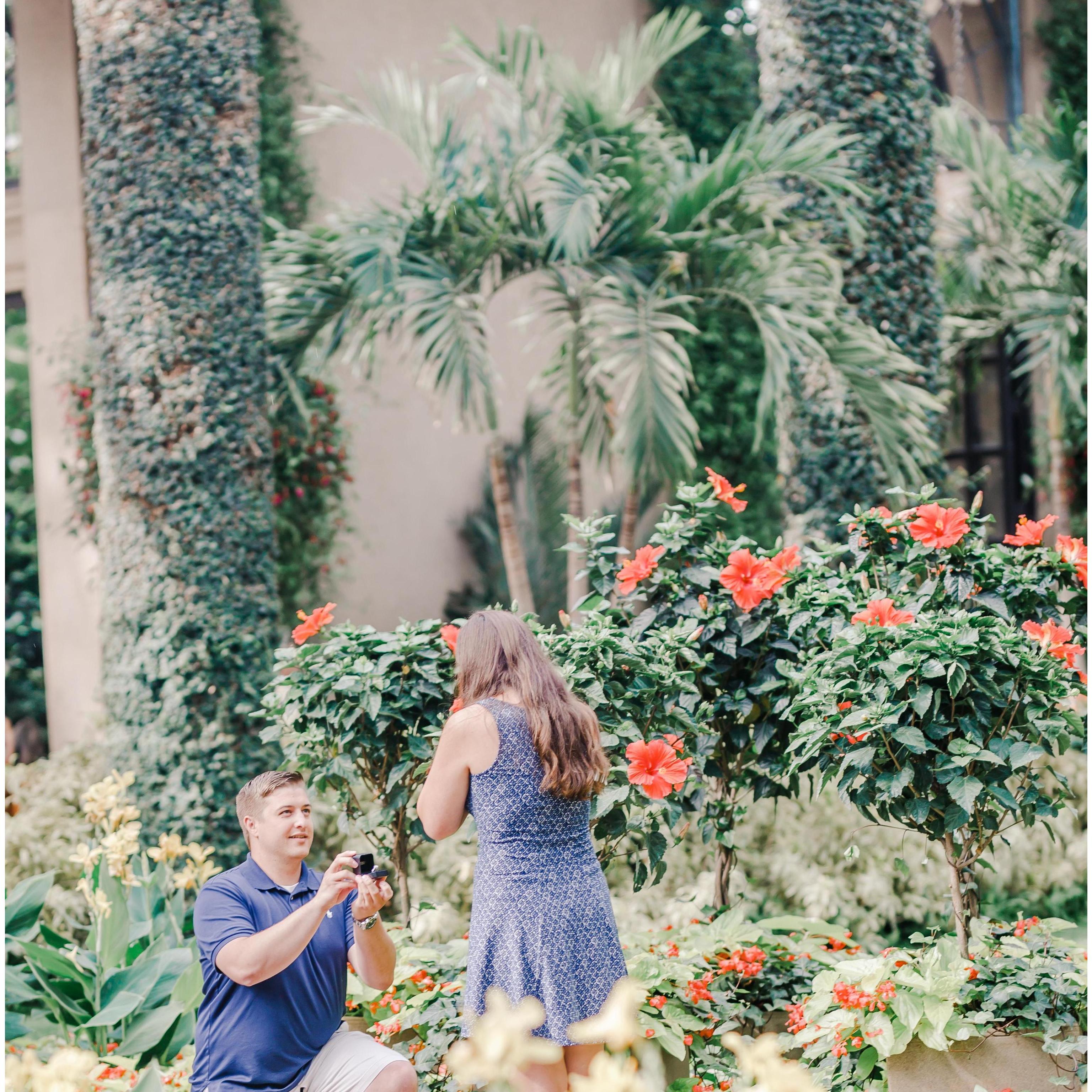 Nicole Garafola and Kyle Chipman's Wedding Website