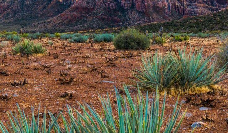 Kathrene Dawson and Lucas Schultz's Wedding Website