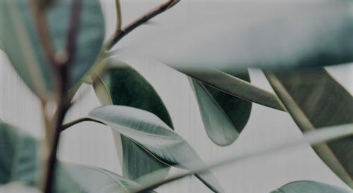 Sarah Loberg and Ty Carlton's Wedding Website