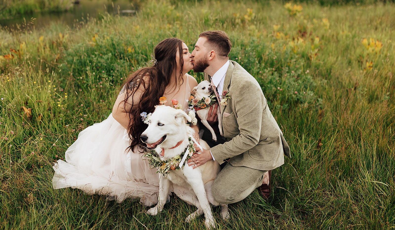 Brooke Allen and Mark Allen's Wedding Website