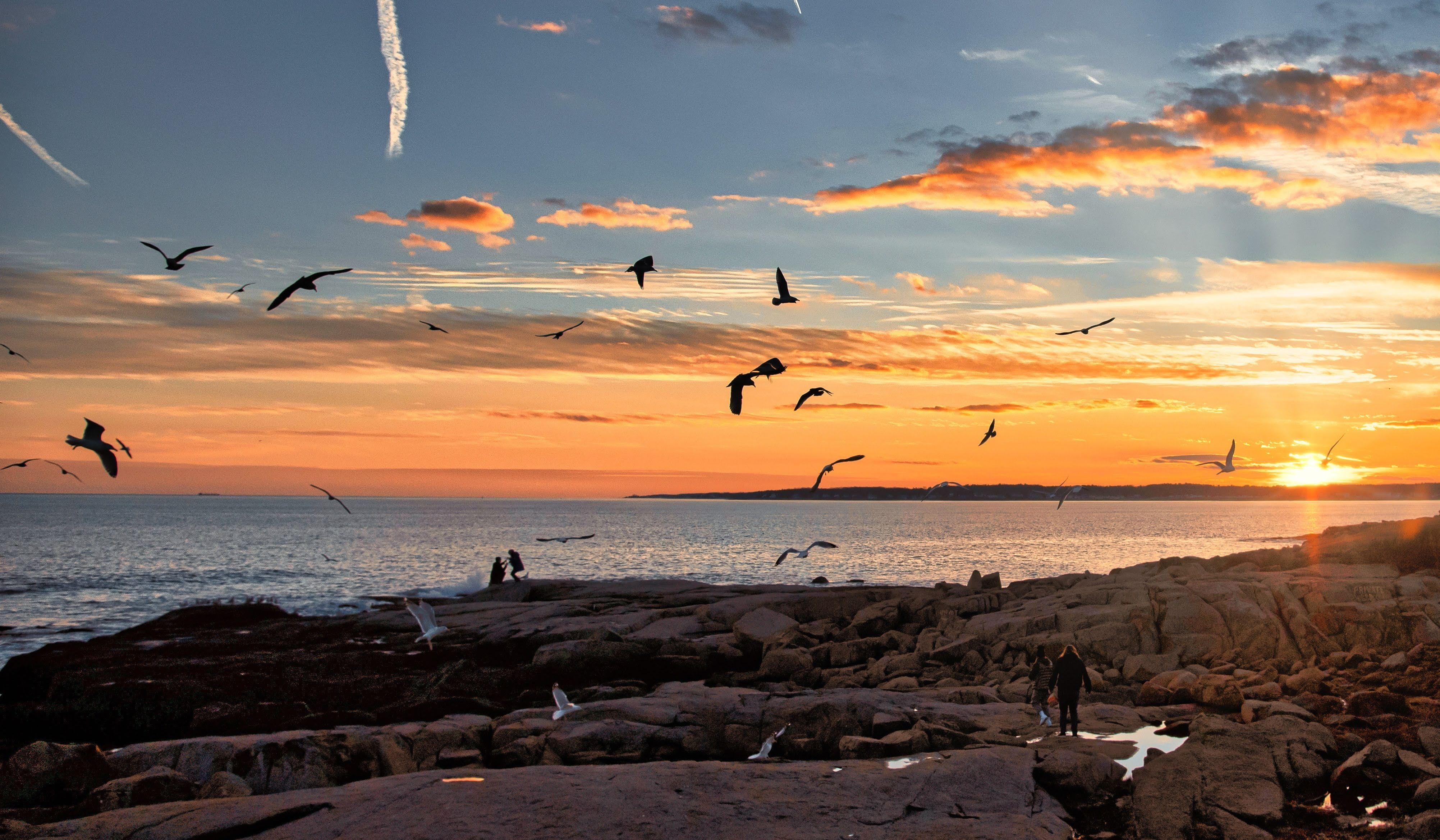 Cydney Rogers and Brian Maeder's Wedding Website