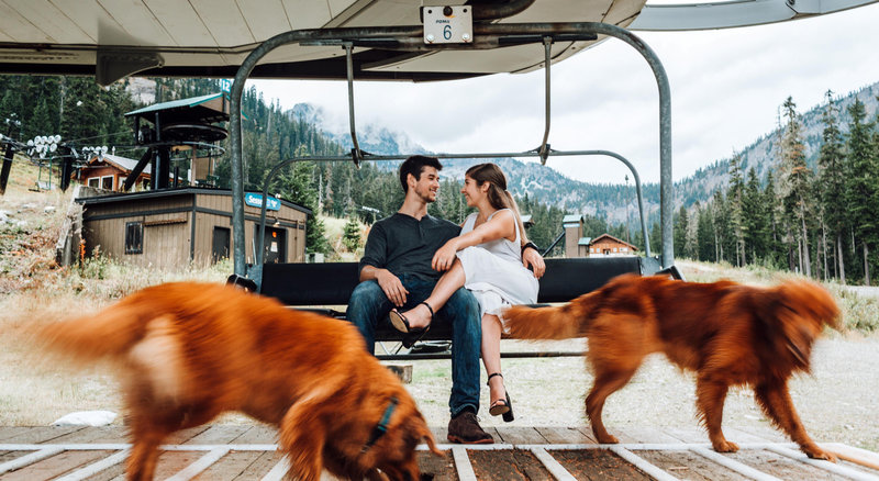Madison Mariani and Sam Goertz's Wedding Website