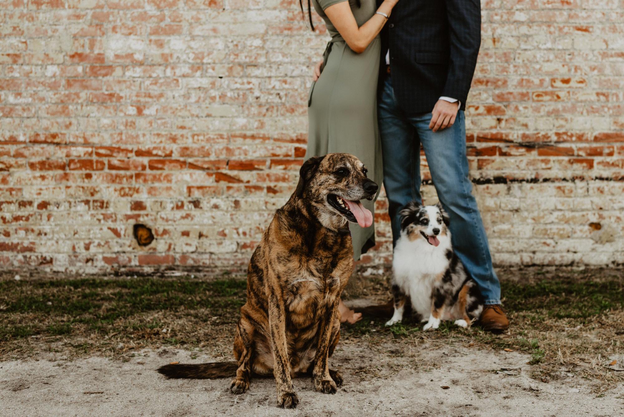 Alexa Brianne Hinton and Nicholas Donald Gavin's Wedding Website