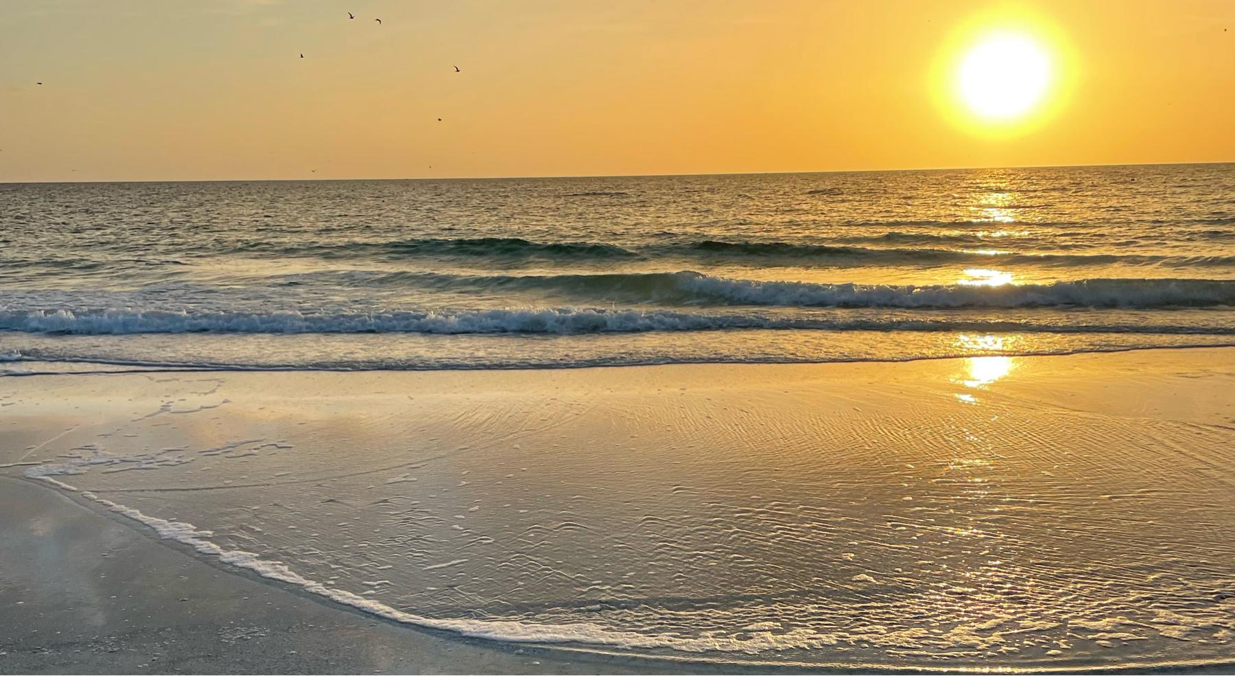 Karissa Davis and Zeke Lambert's Wedding Website