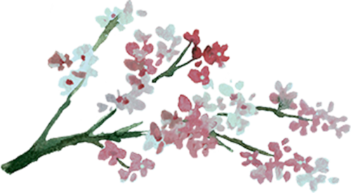 Jackie Brewster and Stephen Fleury's Wedding Website