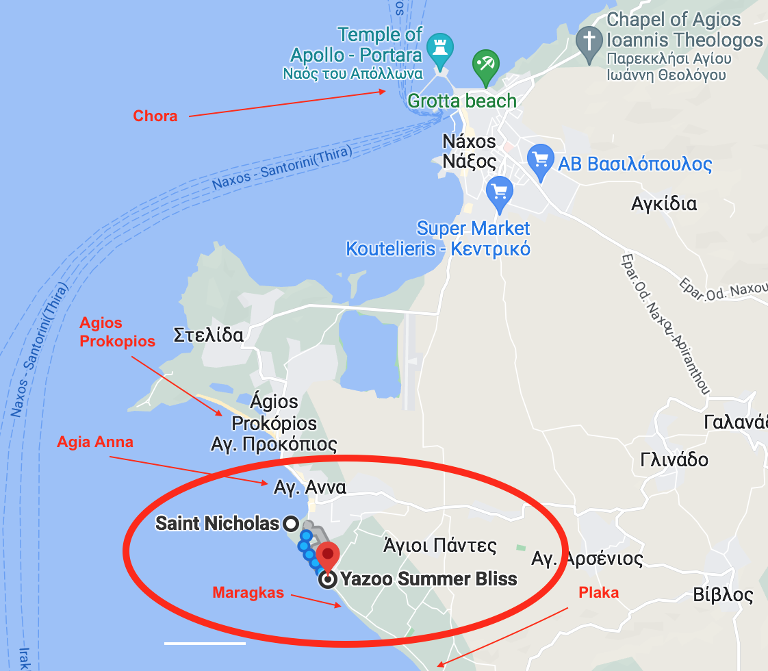 Ariana Verni and Andonios Liofagos' Wedding Website