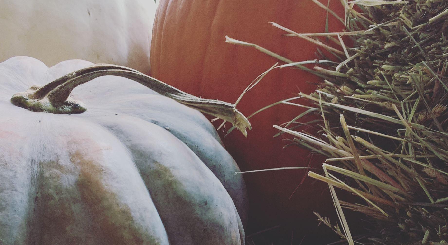 Victoria Meskill and AJ Bacik's Wedding Website