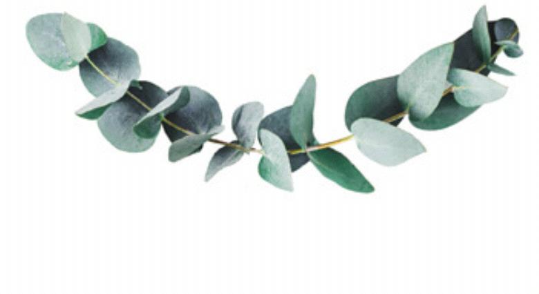 Keirsten Lawrence and Joshua Sorg's Wedding Website