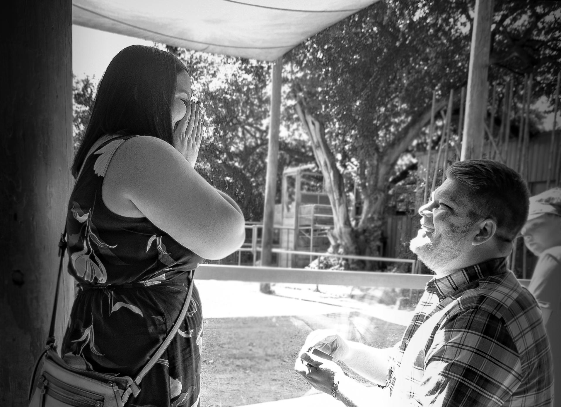 Jamie Betz and Casey Rogers' Wedding Website