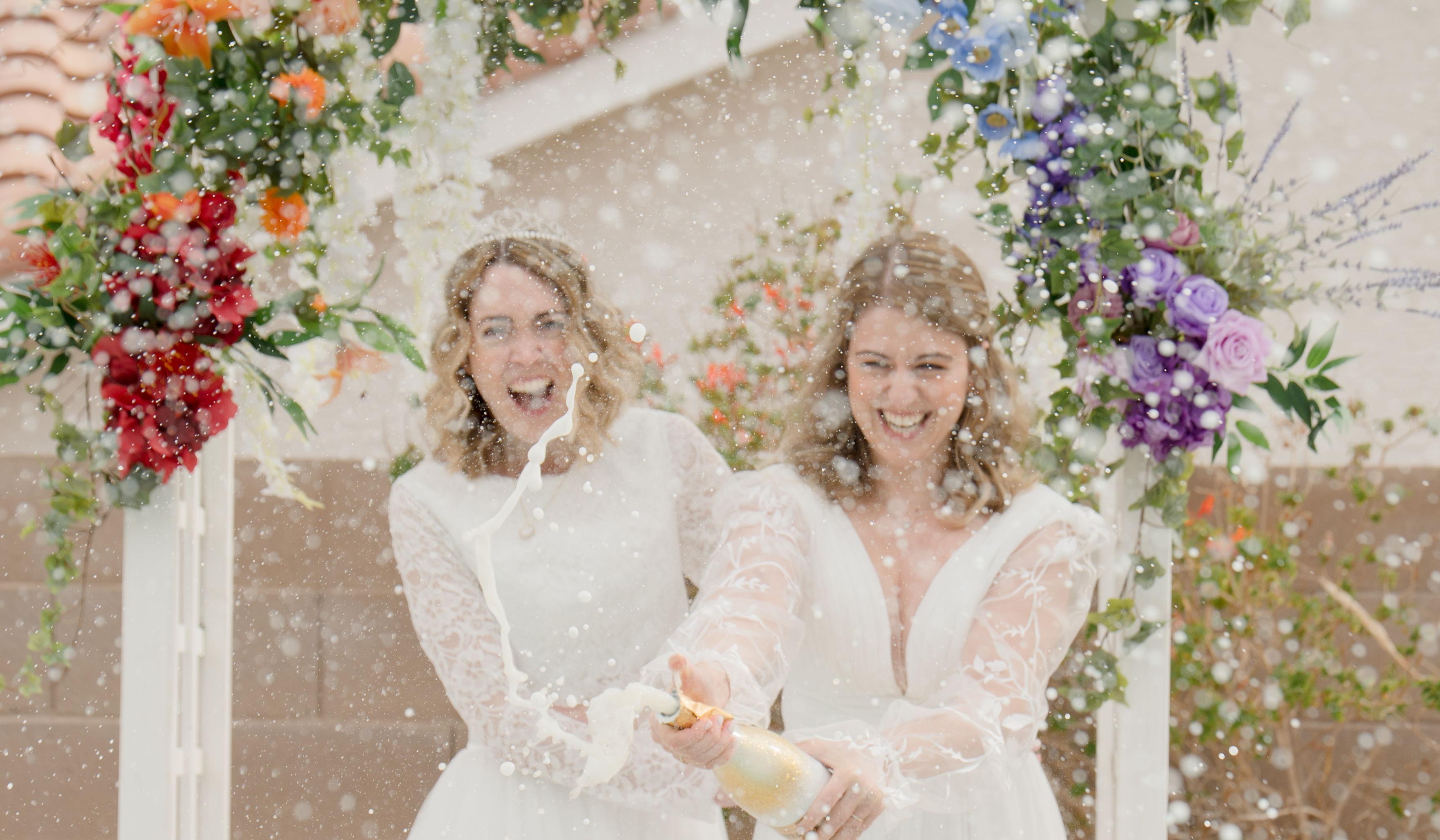 Madison Jones McAleese and Kristen Henley's Wedding Website