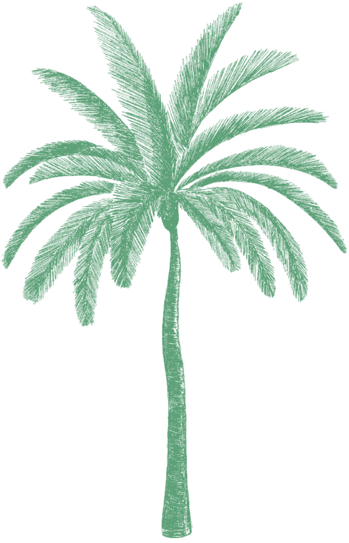 Casey Calvetta and Jeremy Friedman's Wedding Website