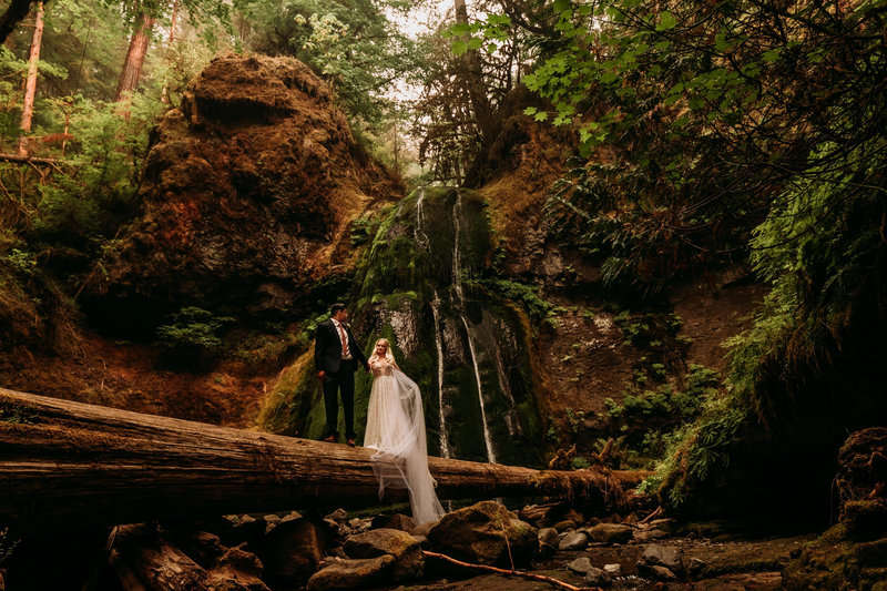 The Burrow: Wedding And Portrait Photography - Wedding Photographers - Zola