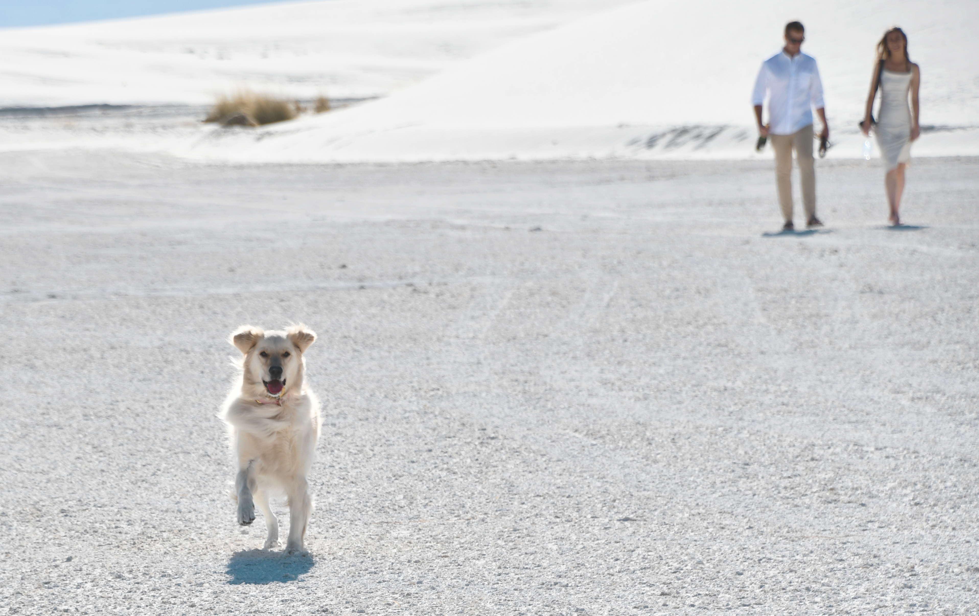 Kyle Jennett and Marye Lee's Wedding Website