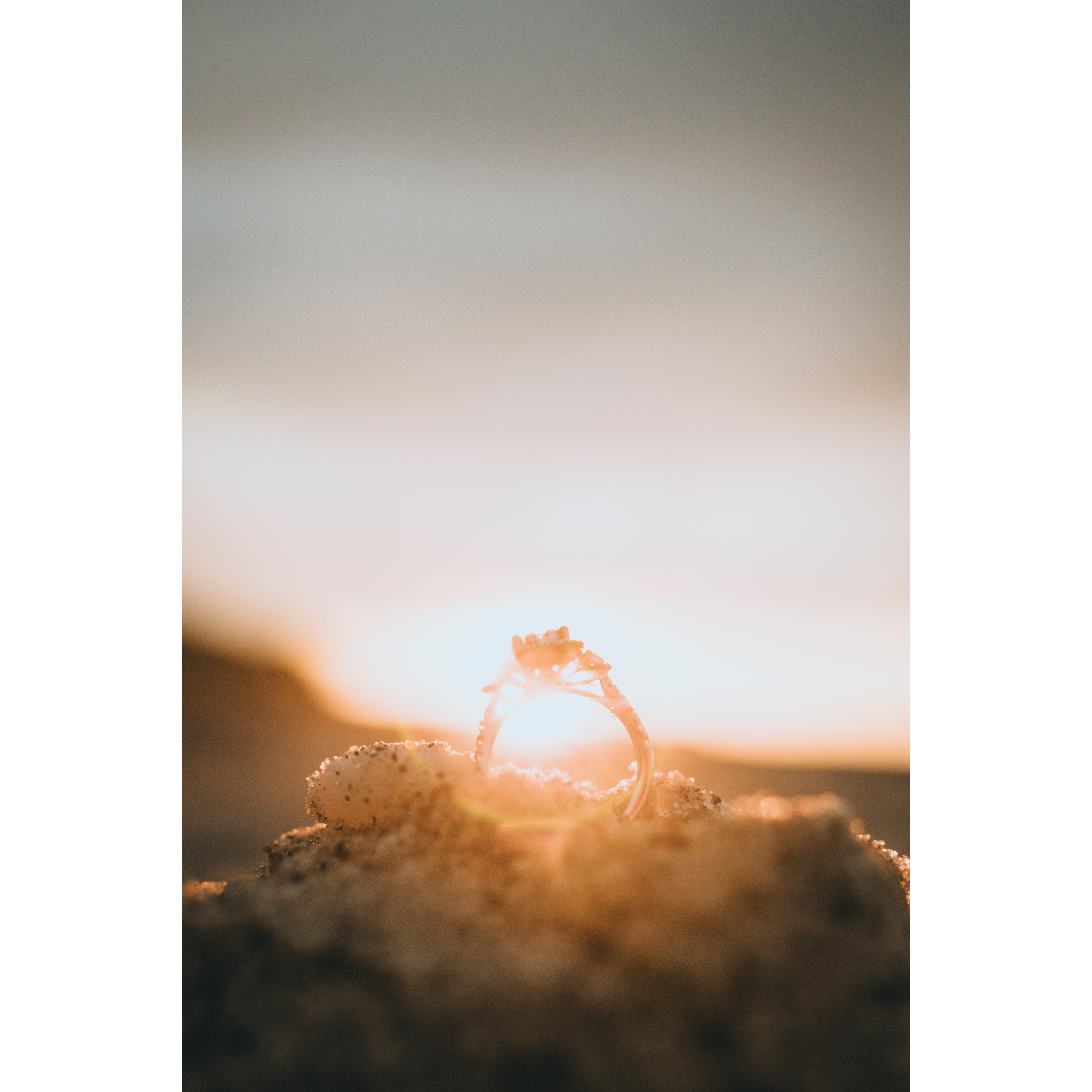 MARIA JOSE MURPHY and ALLEN MURPHY's Wedding Website