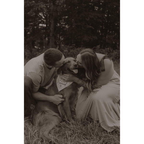 Alexandria Catherine Hamilton and Thomas John McDermott's Wedding Website