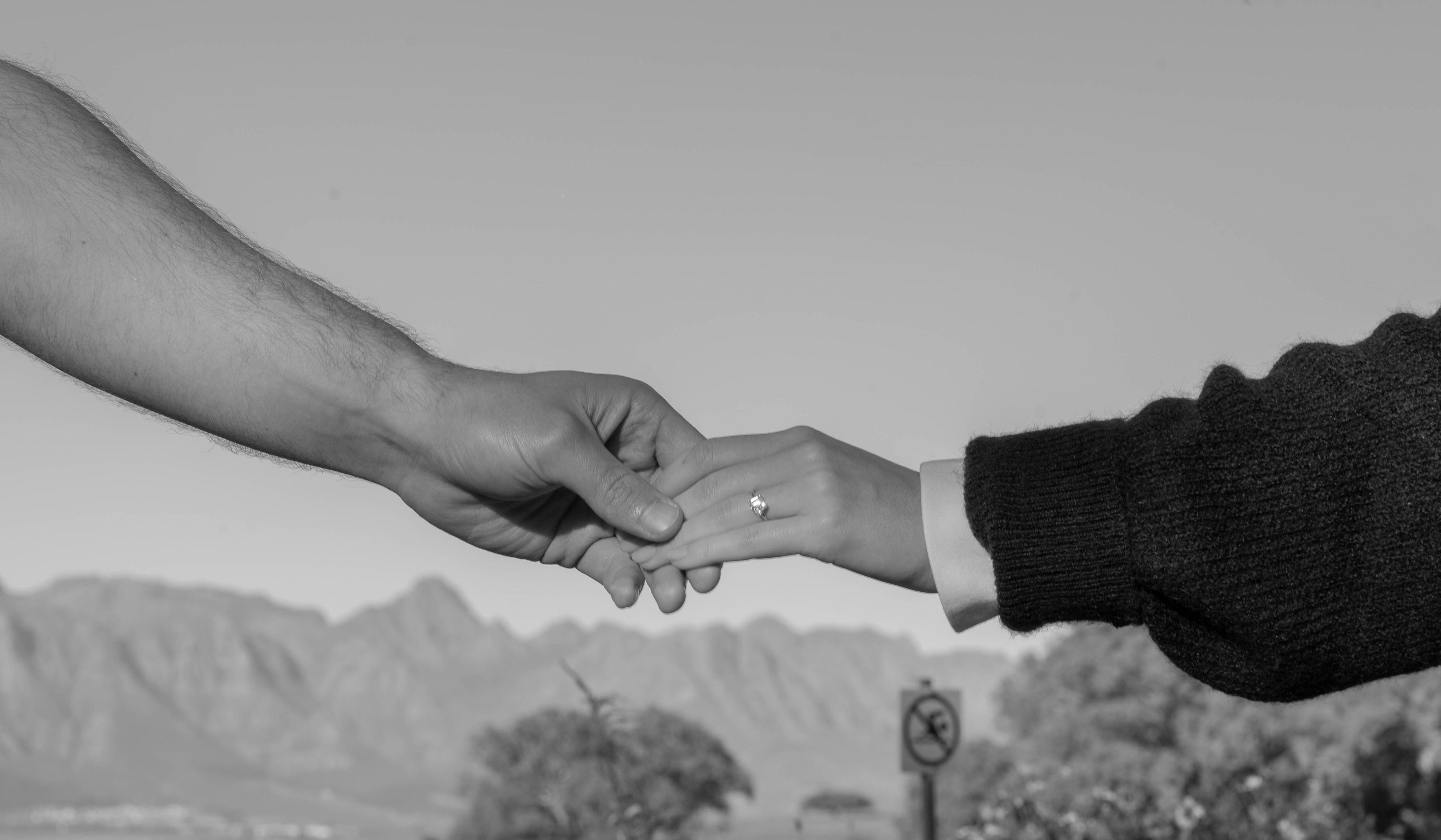 Ian Rheeder and Judy Rheeder's Wedding Website