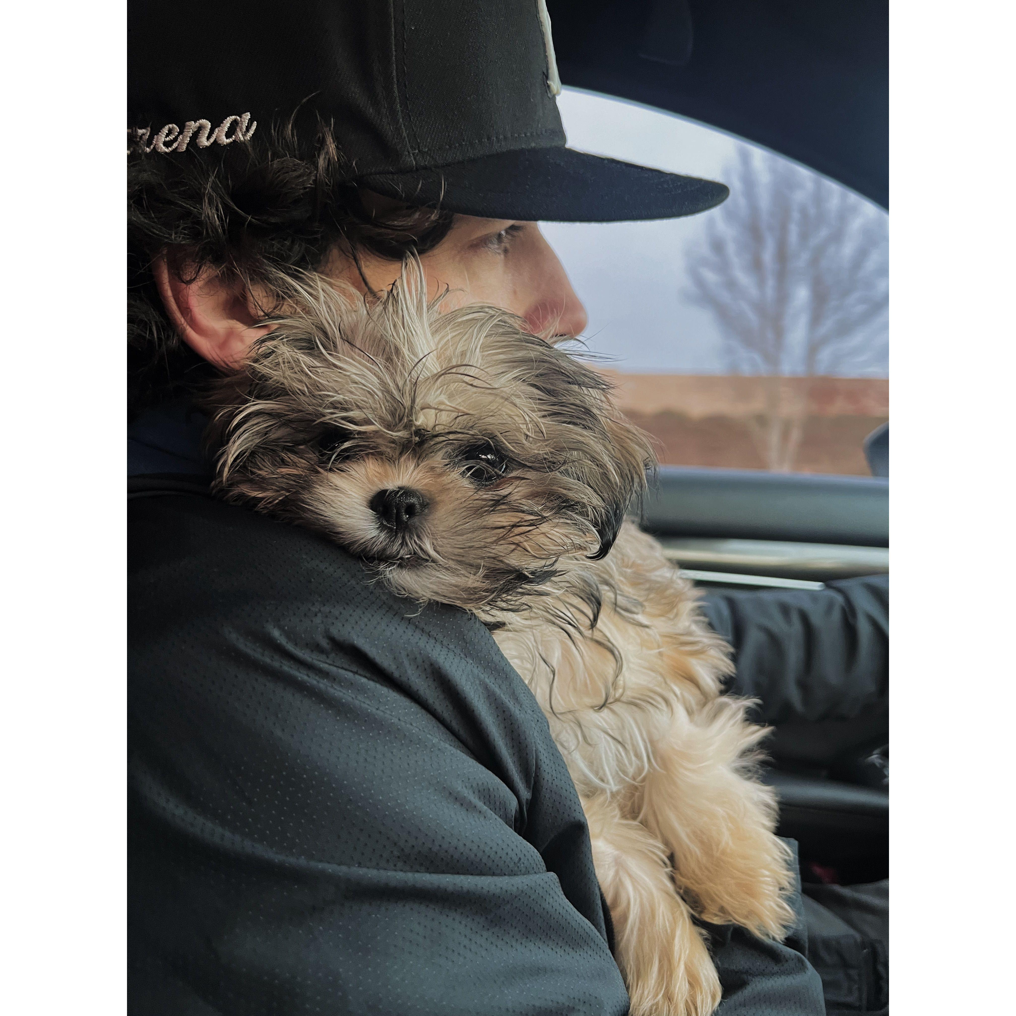 Karena Rodriguez and Ryan Magner's Wedding Website