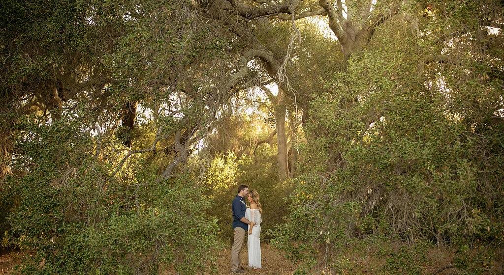 Chanel Cramer and Dominic Perrone's Wedding Website