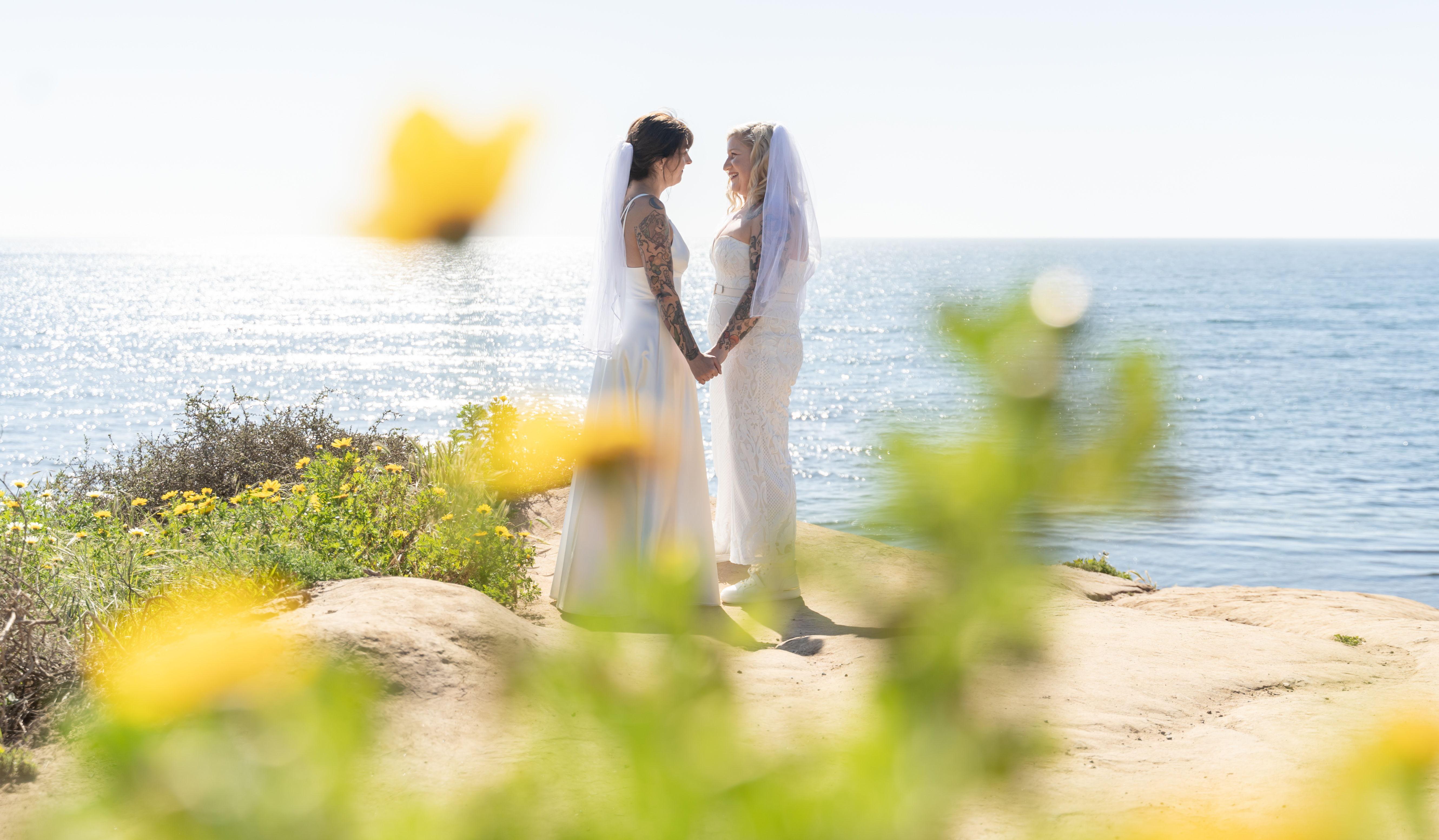 Laura Dewey and Amie Lieberman's Wedding Website