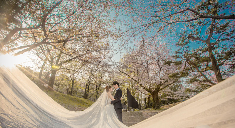 Dong Wen Zheng and Janine Go's Wedding Website