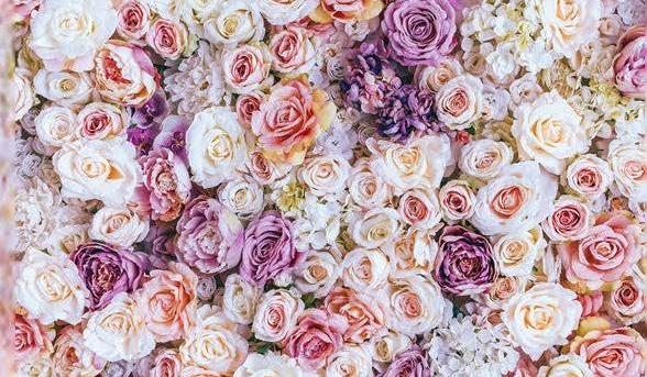 Anthony Ebert-Longerbone and Hannah Buckroyd's Wedding Website