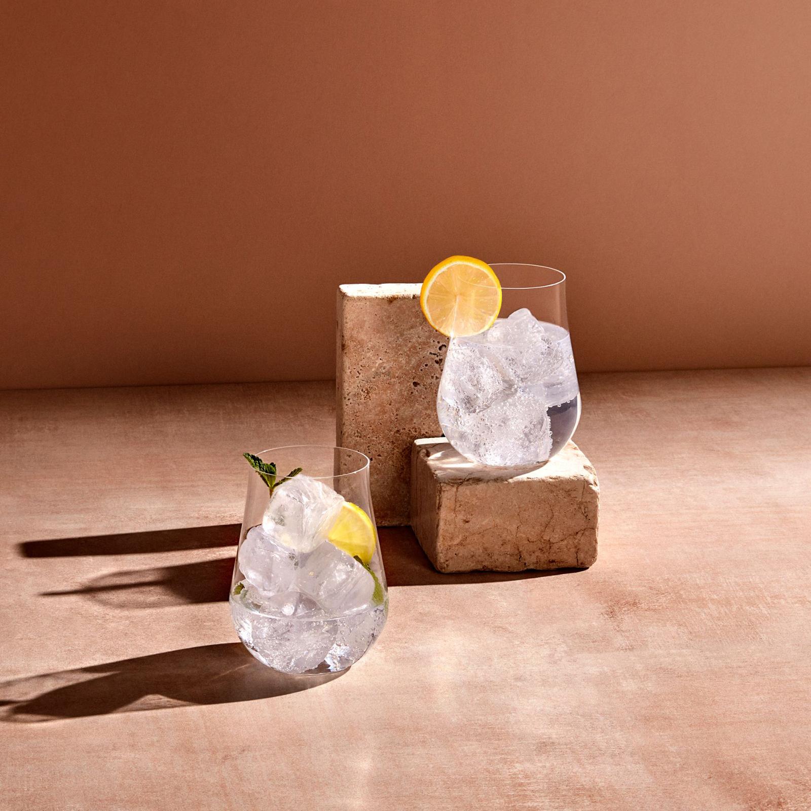 Nude Glass, Ghost Zero Tulip Glass, Set of 2 | Zola