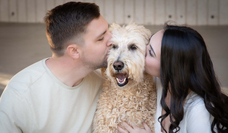 Renee Runfola and Julian Reid's Wedding Website