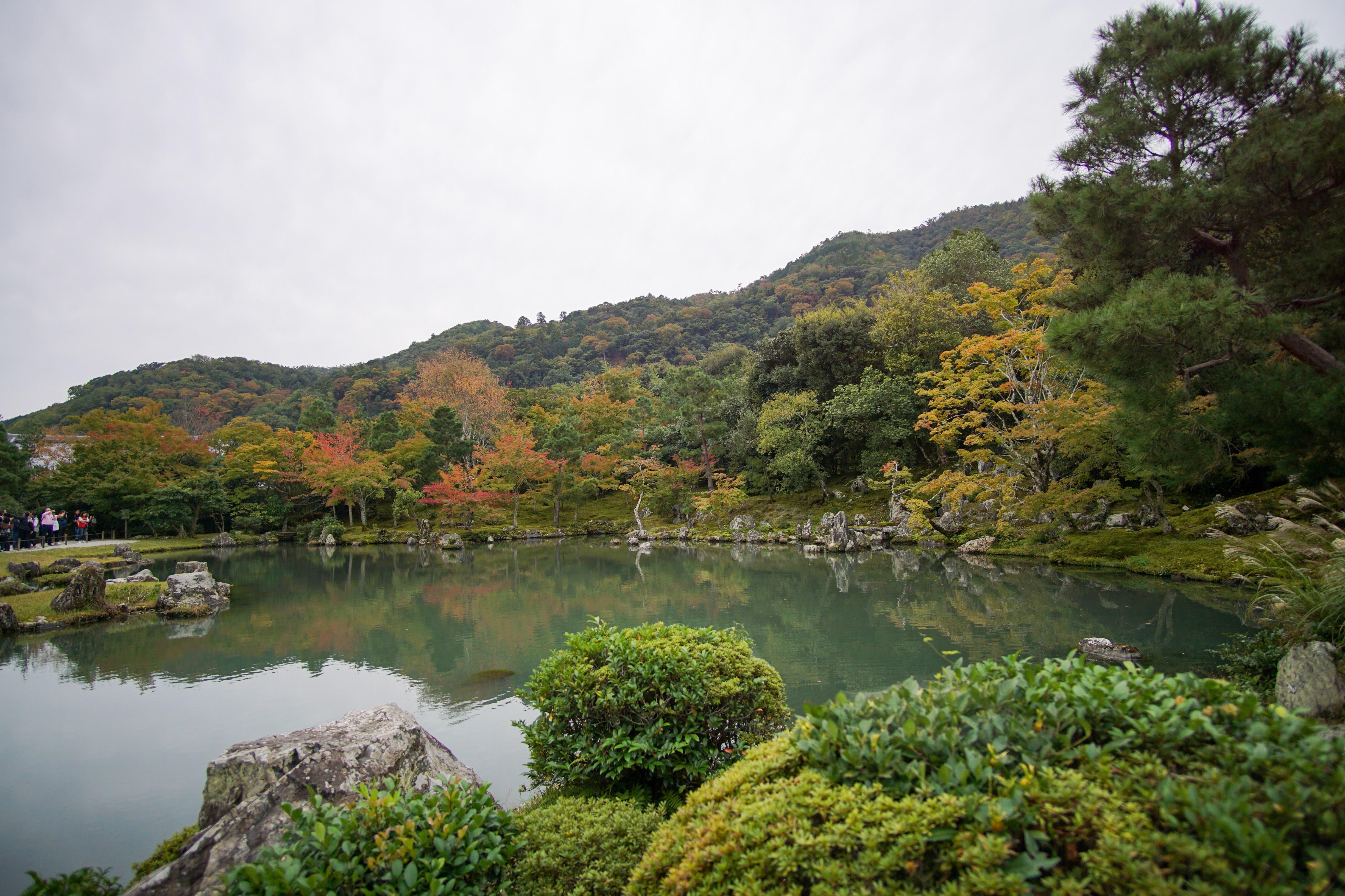 Emily Loucks and Matthew Oliver's Wedding Website