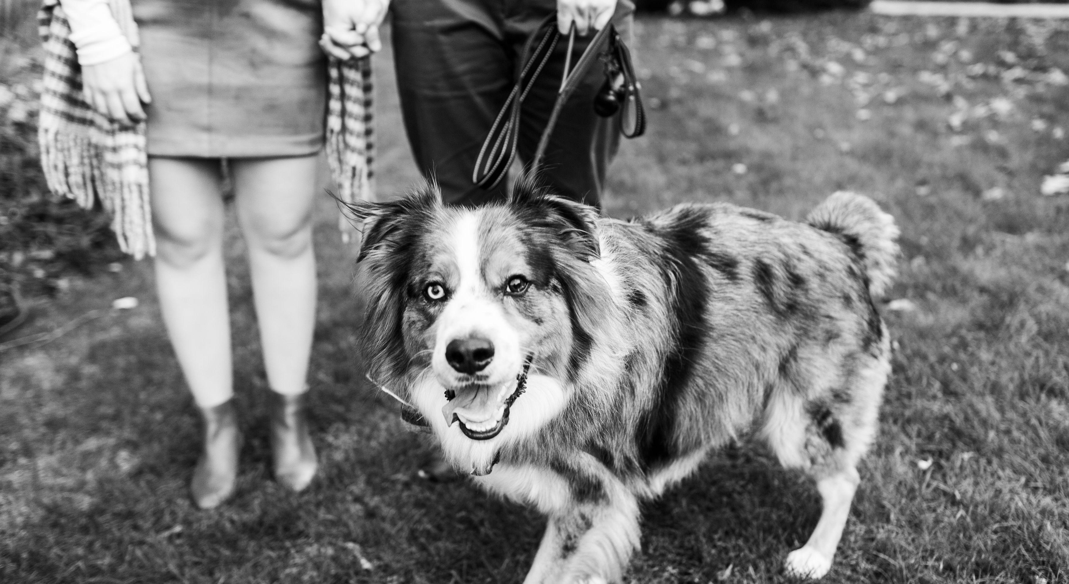 Megan Kidder and Rick Jorgensen's Wedding Website