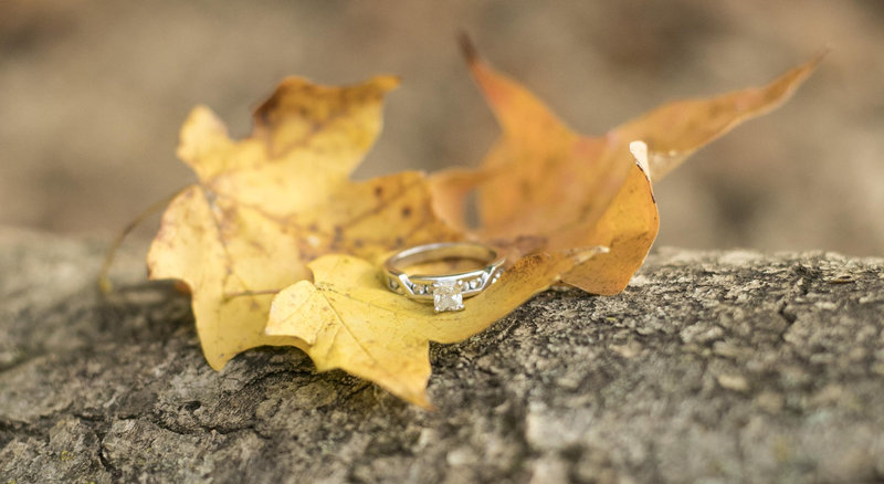 Hanah Heffley and Cameron Schroeder's Wedding Website