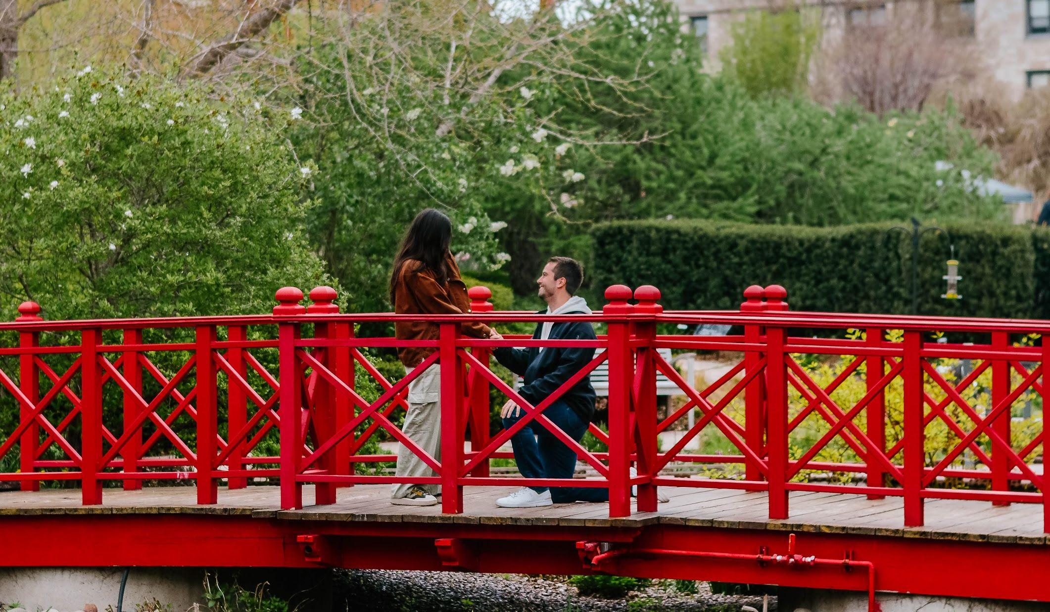 Alexa Kotlyar and Ricky Lenz's Wedding Website