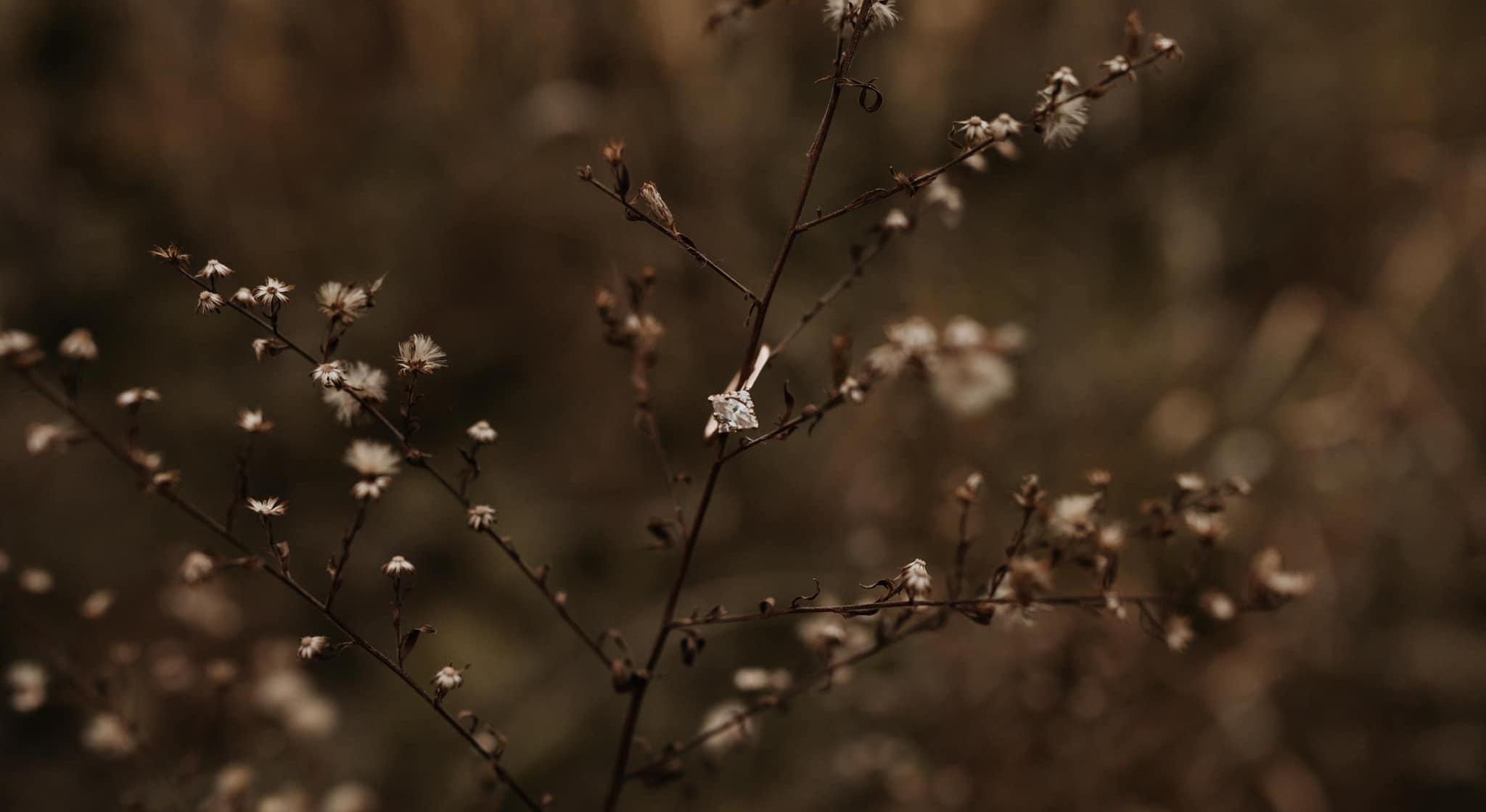 Kaitlin Dull and Brian Wilt's Wedding Website