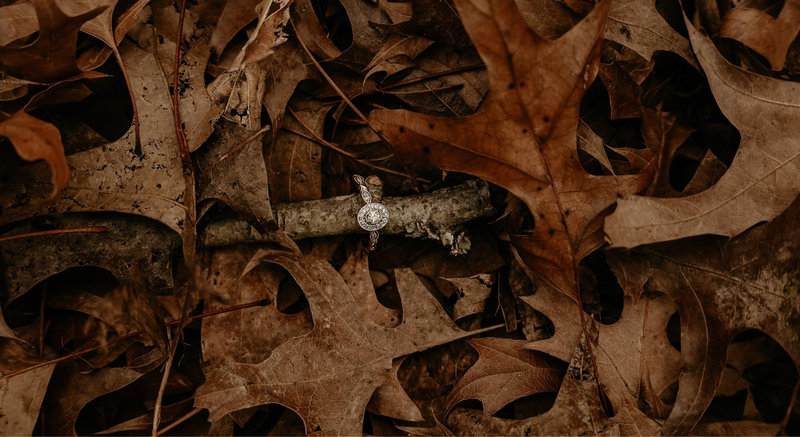 Amber Grimm and Corey Fairchild's Wedding Website