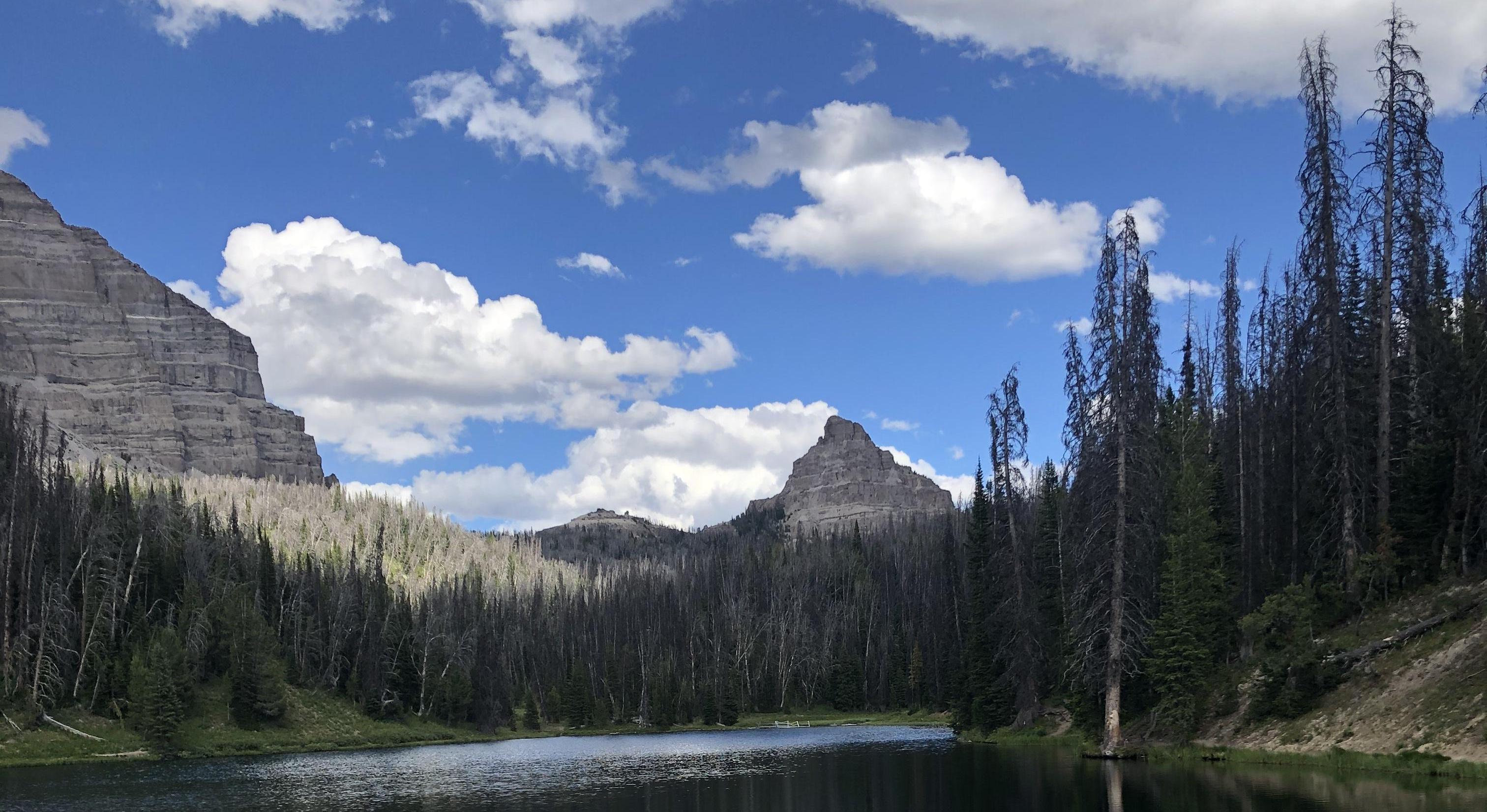 Tessa Owen and Jason Loring's Wedding Website