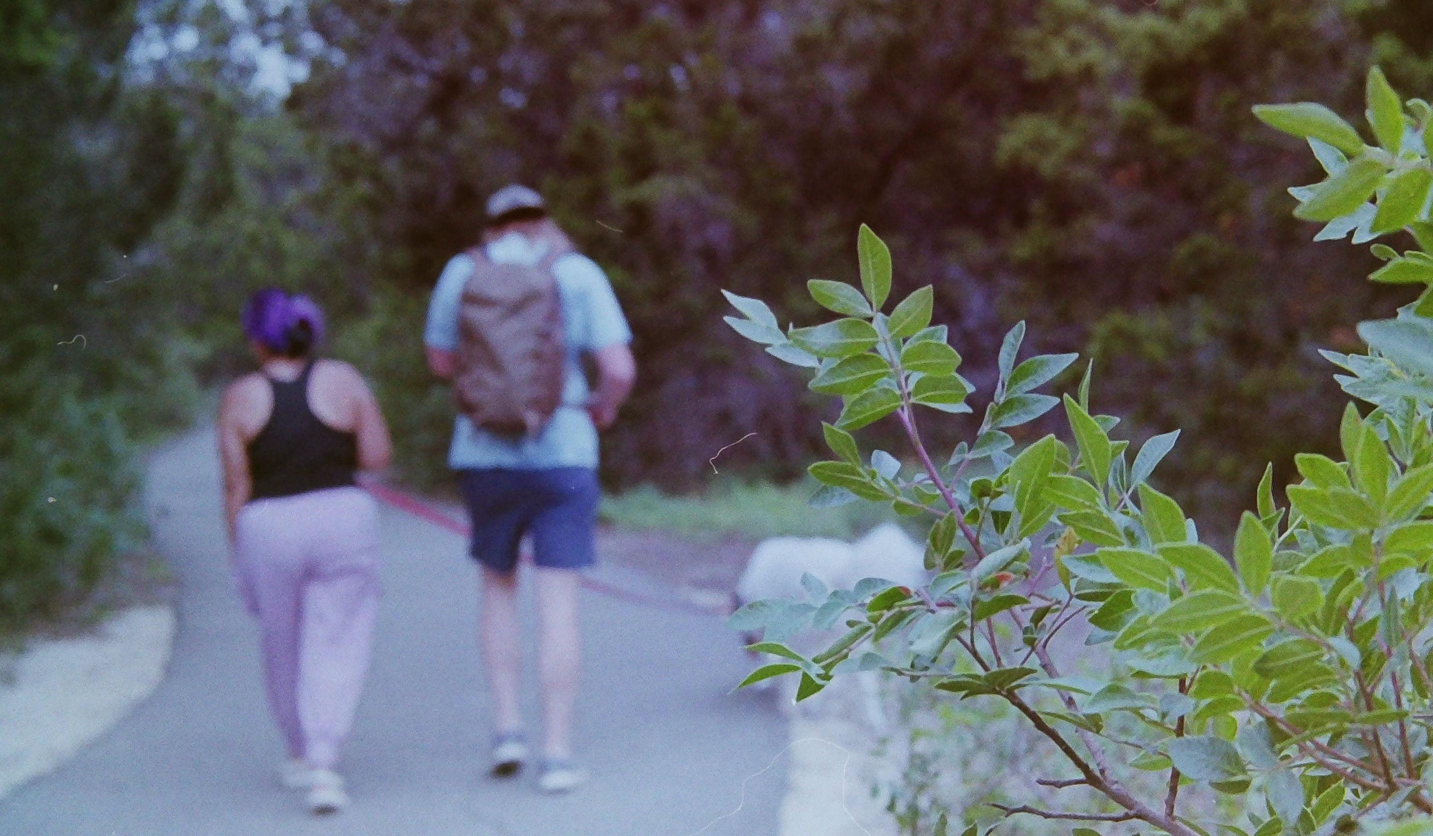 Elyana Barrera and Nick Walling's Wedding Website