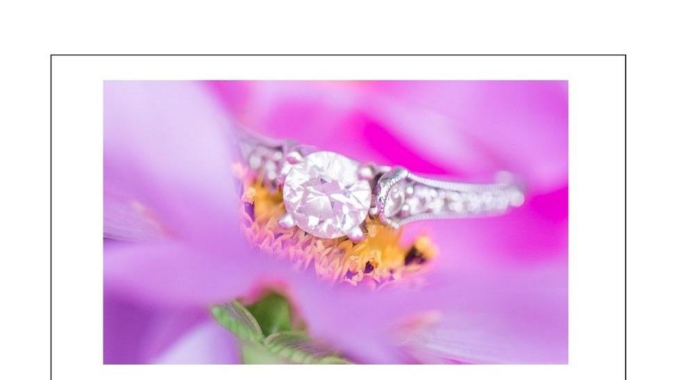 Sam Vecchio and Chris Witman's Wedding Website