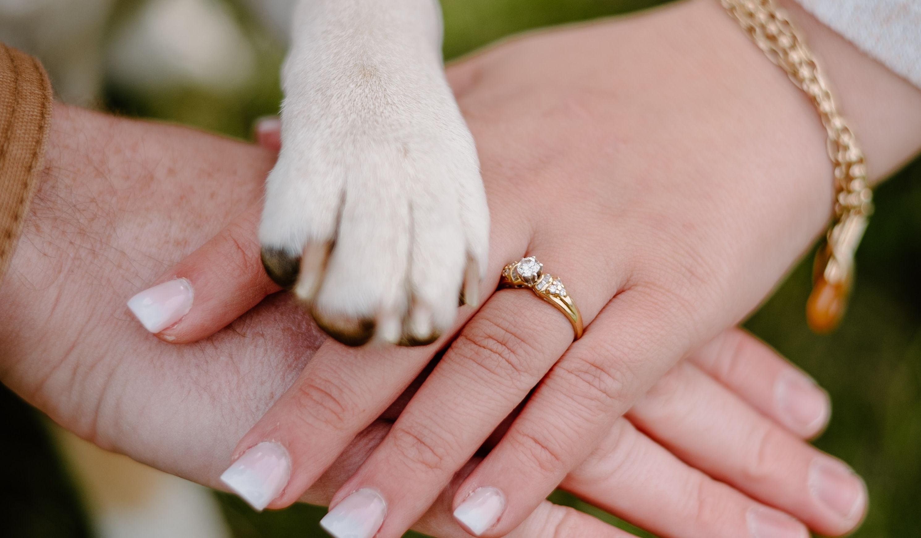 Jessica Alexieff and Kyle Quilty's Wedding Website