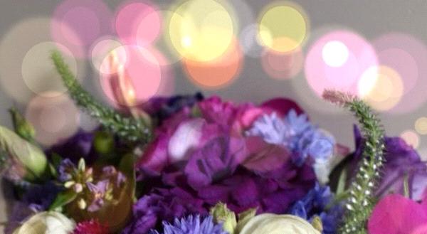 Heidi Doyle and Kevin Jacobs' Wedding Website