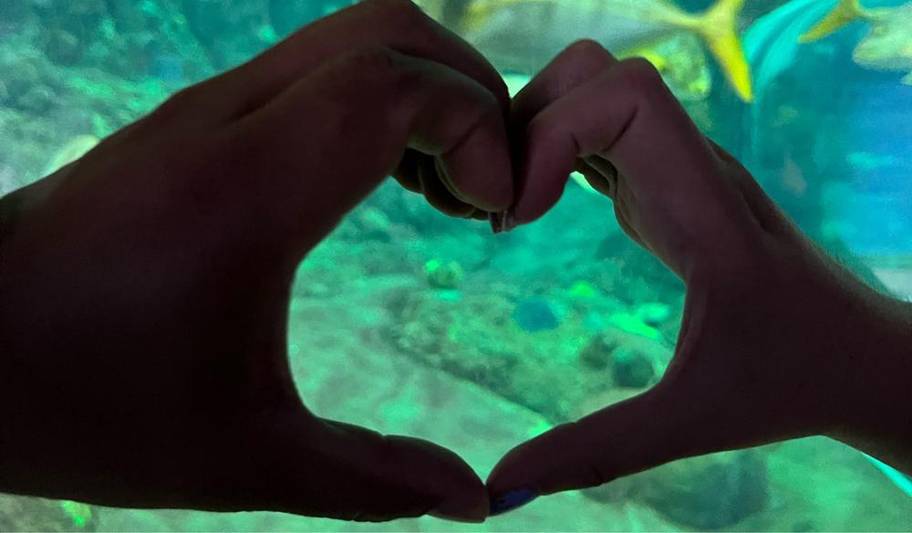 Ashley Alvarez and Jacob Mercado's Wedding Website