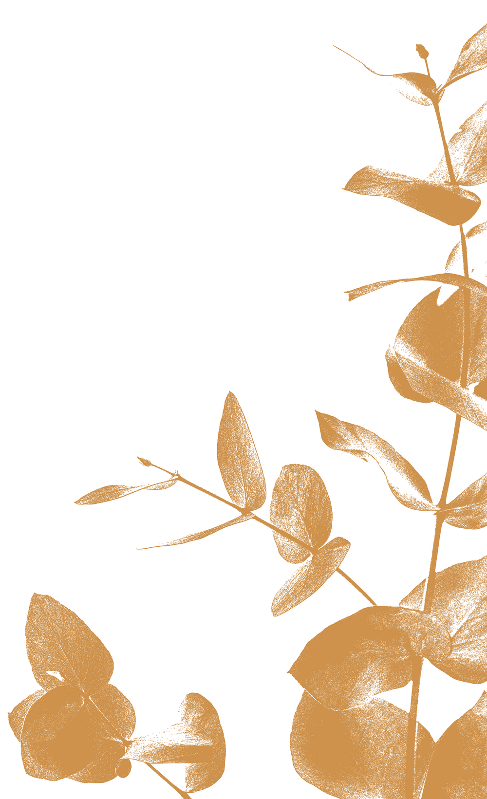 Angela Pollard and Rick Lima's Wedding Website